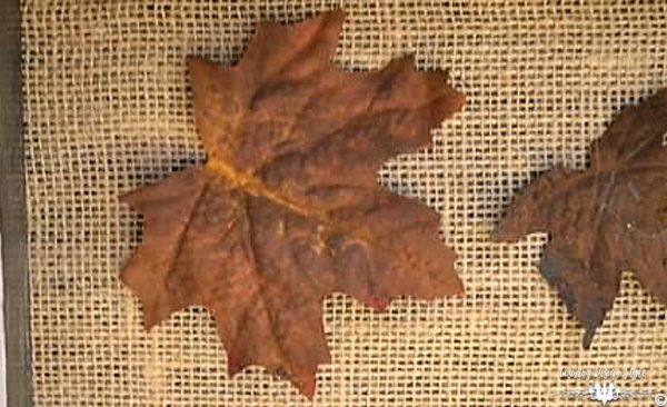 Rusty Leaves | Country Design Style