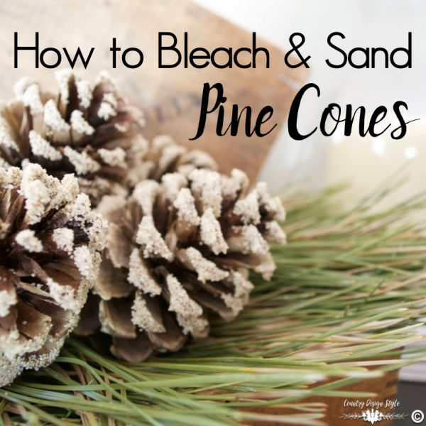 How to Bleach Pine Cones - Country Design Style