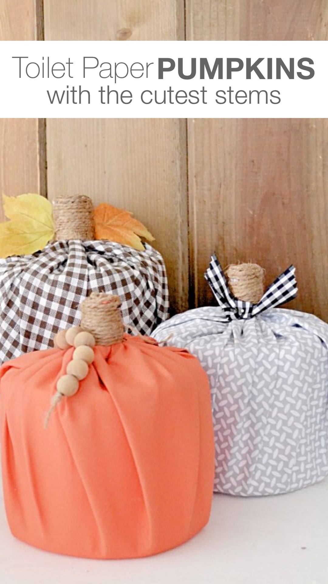 Toilet Paper Roll Crafts for All Skill Levels - Country Design Style